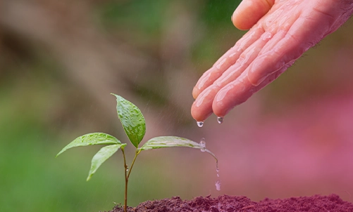 Producer Card Campaign - Gediz Perakende